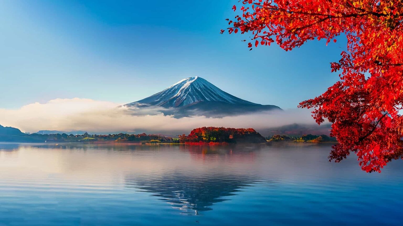 Adaptive Background Demo 1 - Prime Slider